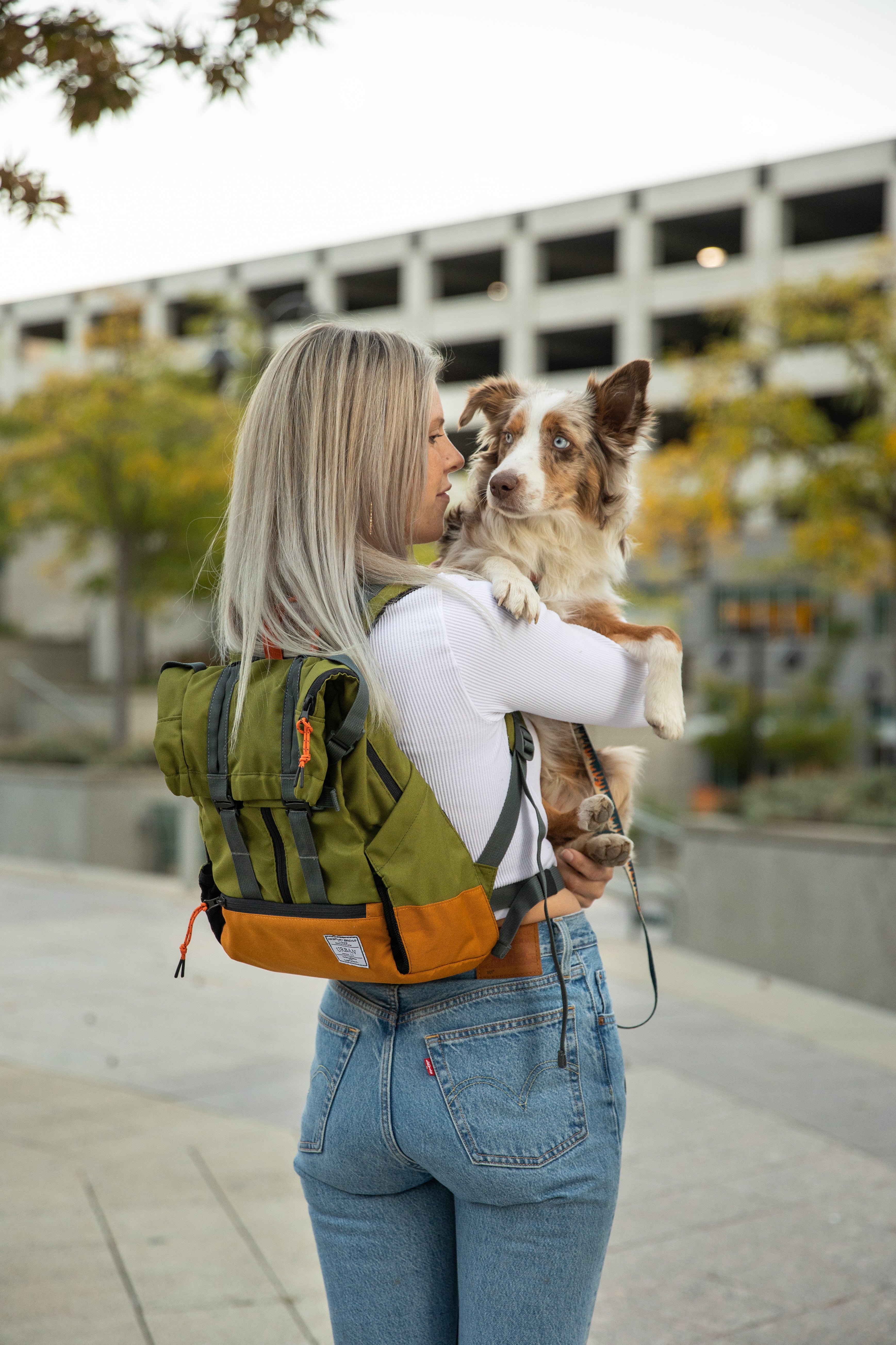 The Ultimate Guide to Urban 3 Dog Backpacks – K9 Sport Sack