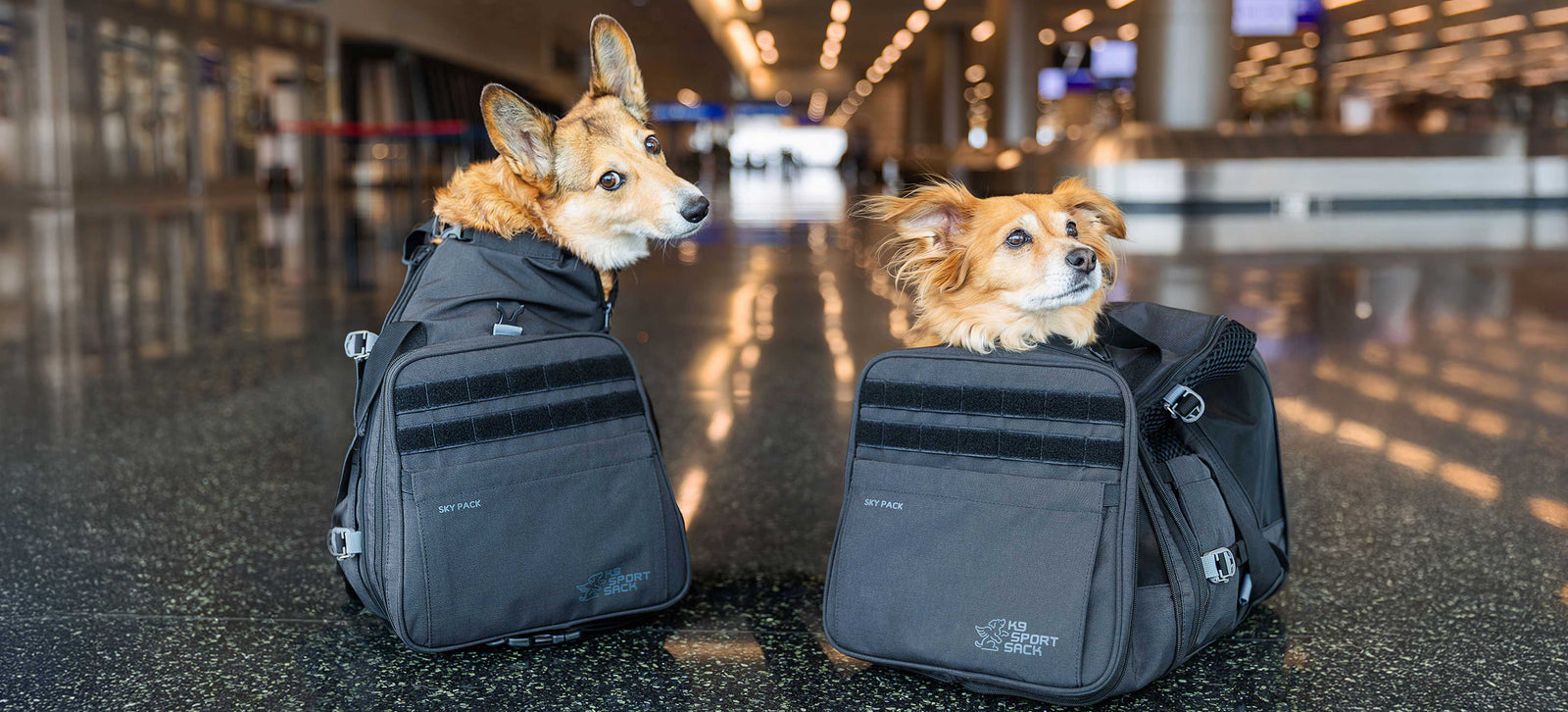 The Front-Facing Dog Backpack Carrier | K9 Sport Sack®