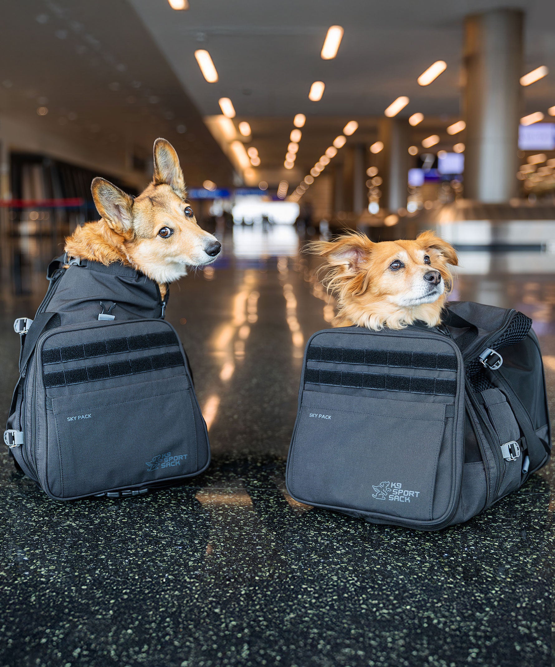 The Front-Facing Dog Backpack Carrier | K9 Sport Sack®